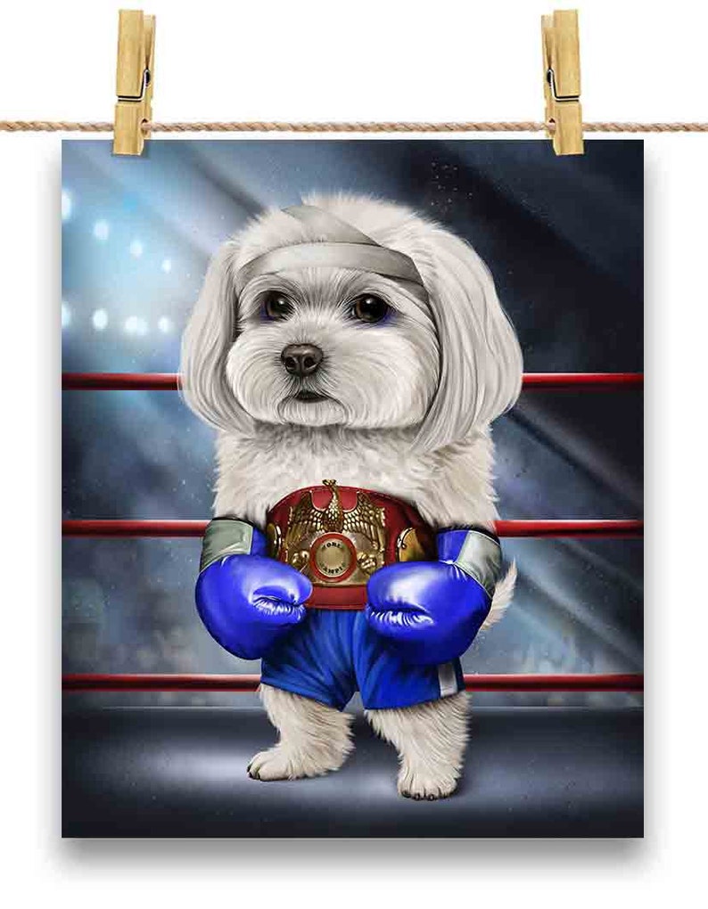 Boxing Champion Maltese Dog Fighter - Poster Print, Wall Art, Home ...