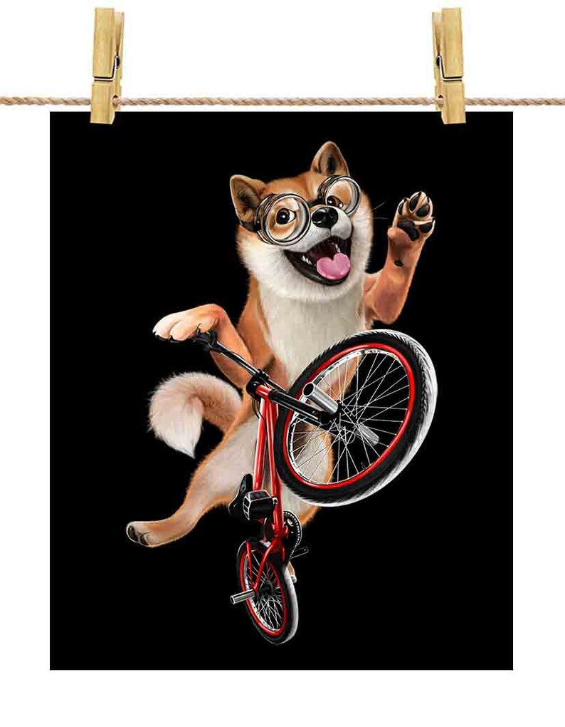 Shiba Dog on Bicycle Performs the Jump Trick - Poster Print, Wall Art ...