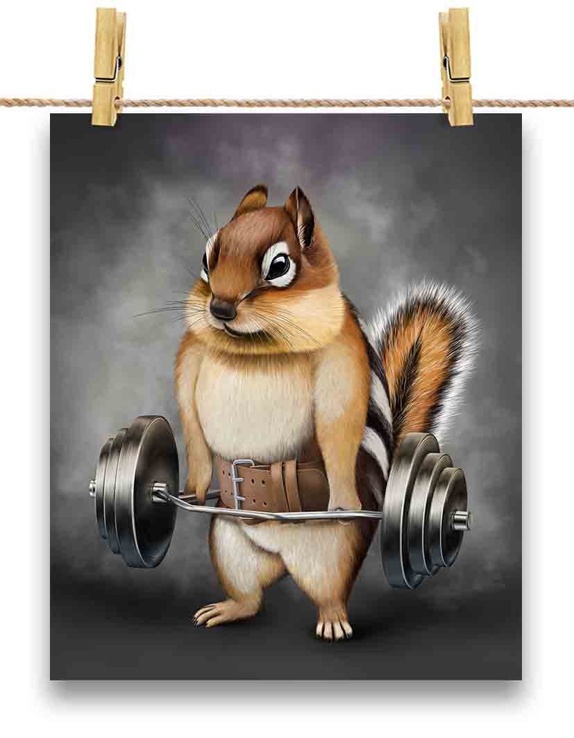 Buff Squirrel