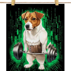 Jack Russell Terrier Dog Muscle Training With Barbell Shrug Bar Fitness ...