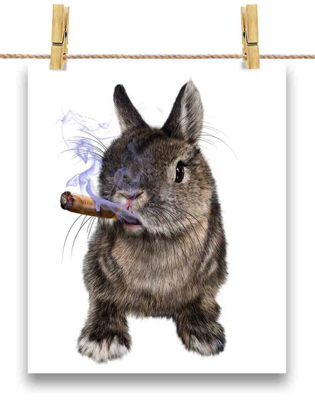 Dwarf Rabbit With Cigar - Poster Print, Wall Art, Home Decor, and ...