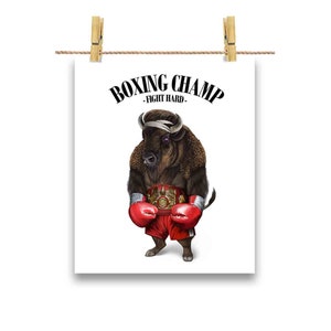 Bison Buffalo Bull as Boxing Champion Boxer MMA - Poster Print, Wall ...
