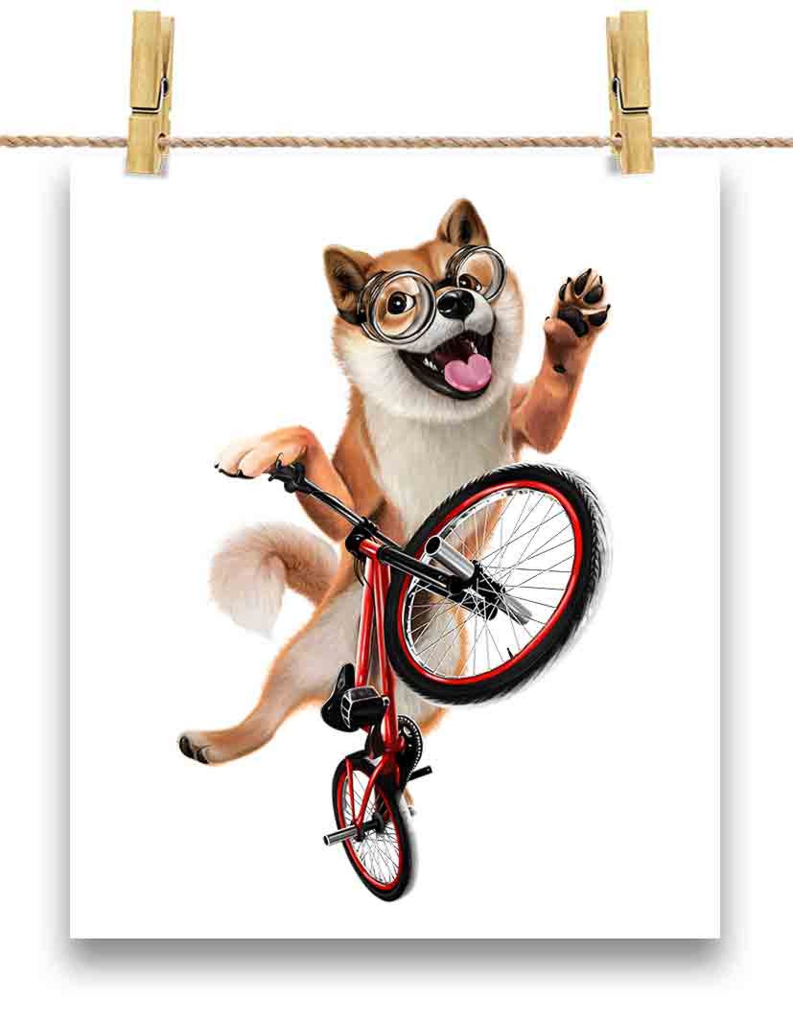 Shiba Dog on Bicycle Performs the Jump Trick - Poster Print, Wall Art ...
