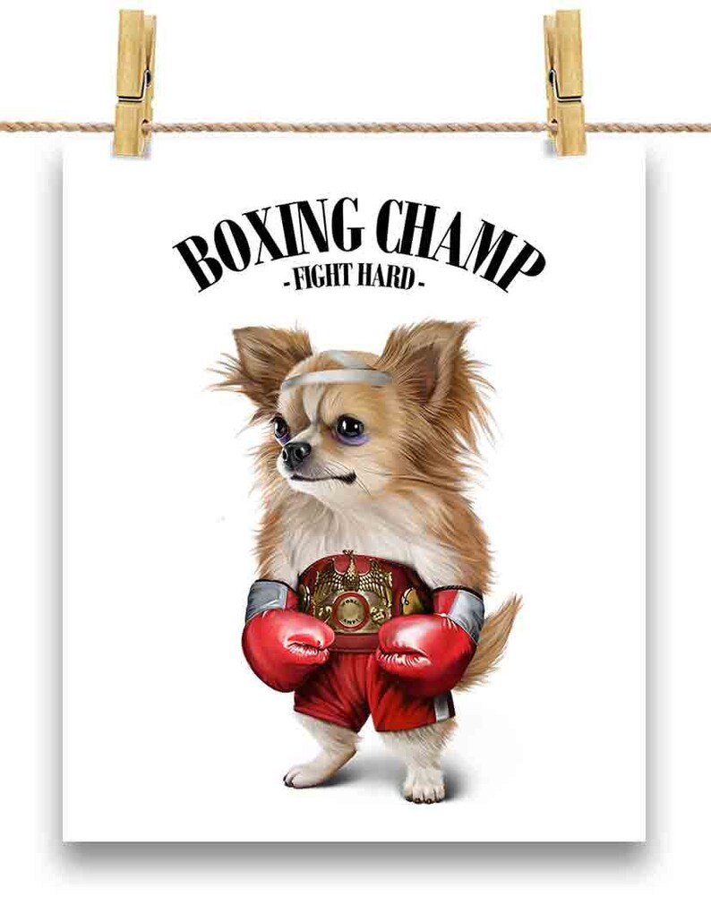 Chihuahua Dog as Boxing Champion Boxer Fighter MMA Custom - Etsy