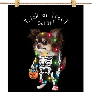 Chocolate Chihuahua Dog in Skeleton Costume: Halloween Party Dress-up ...