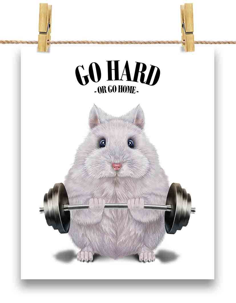 Dwarf Hamster Weightlifting in Fitness Gym Exercise Workout ...