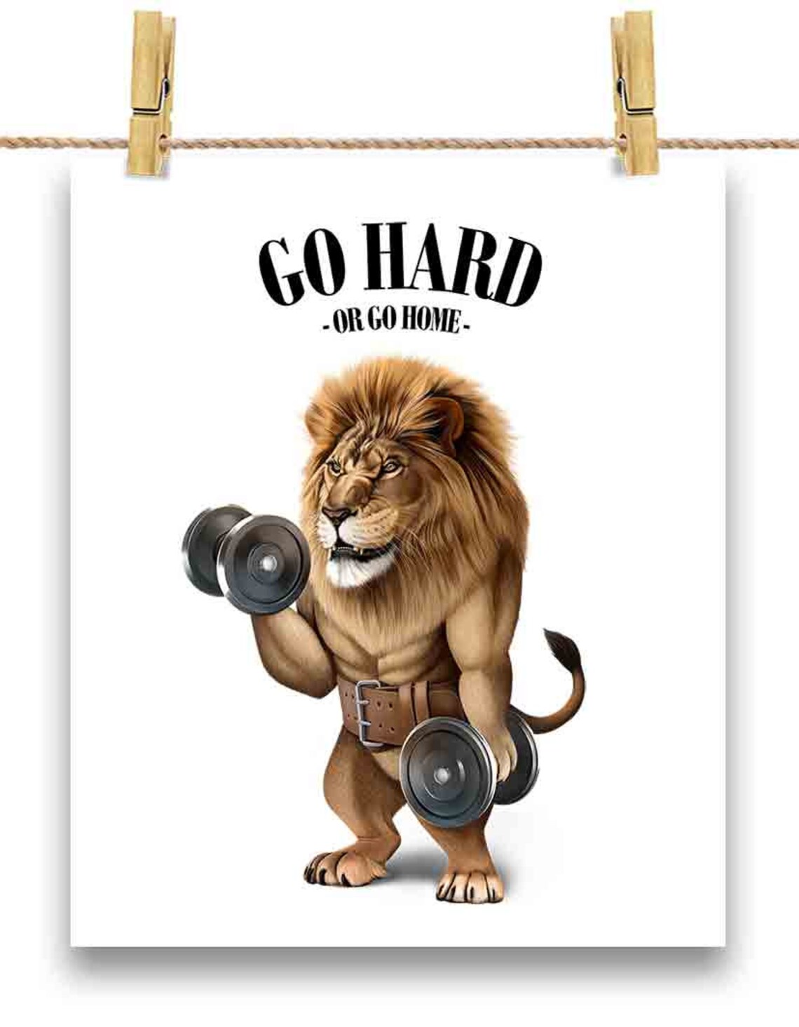 Lion Muscle Training Weightlifting With Dumbbell - Poster Print, Wall ...
