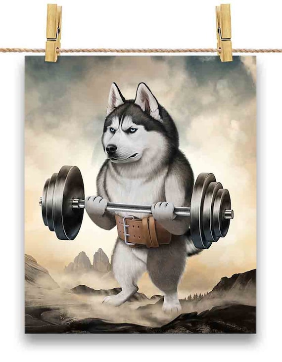 How To Exercise Husky