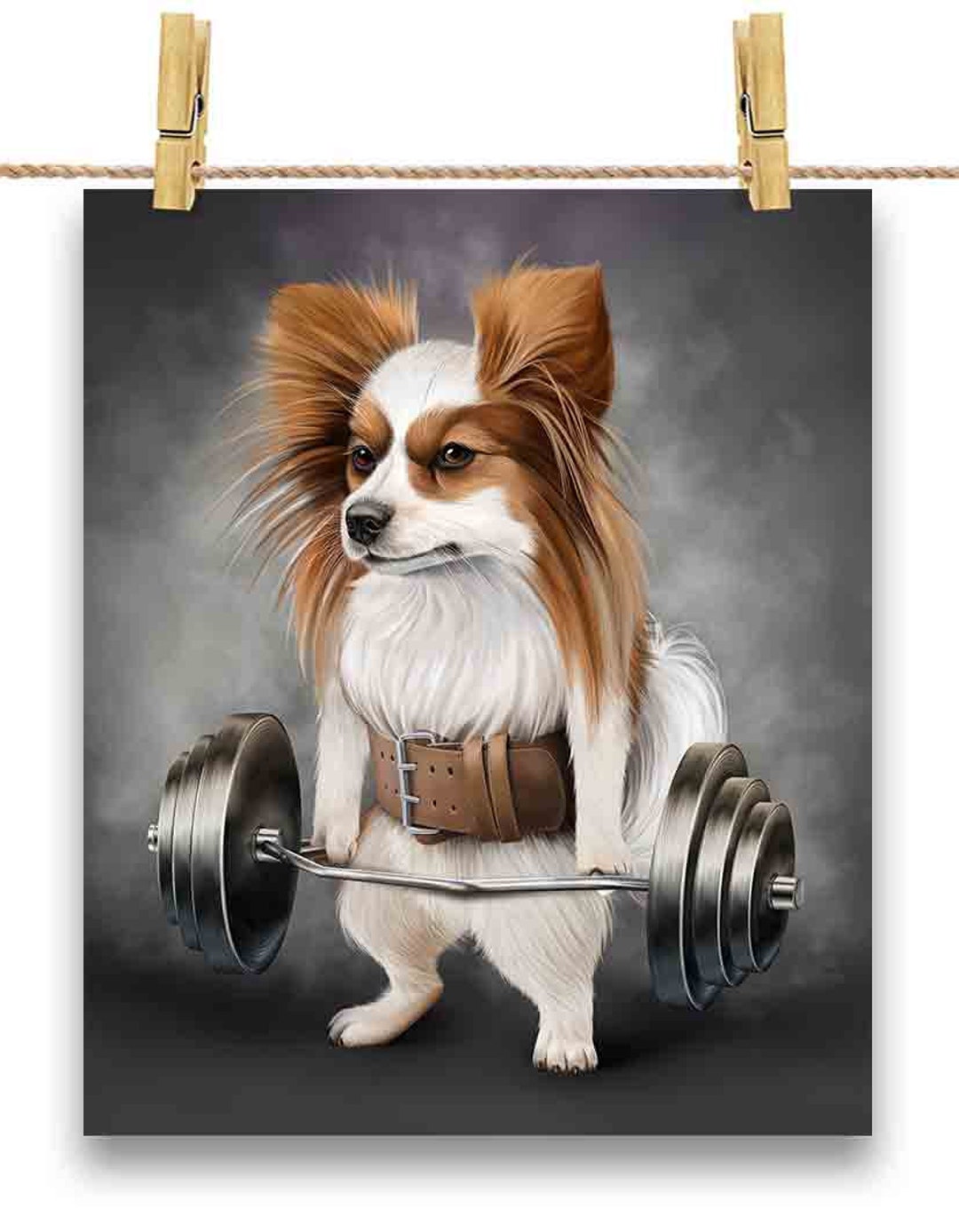 Papillon Dog Muscle Training With Barbell Shrug Bar Fitness Gym ...