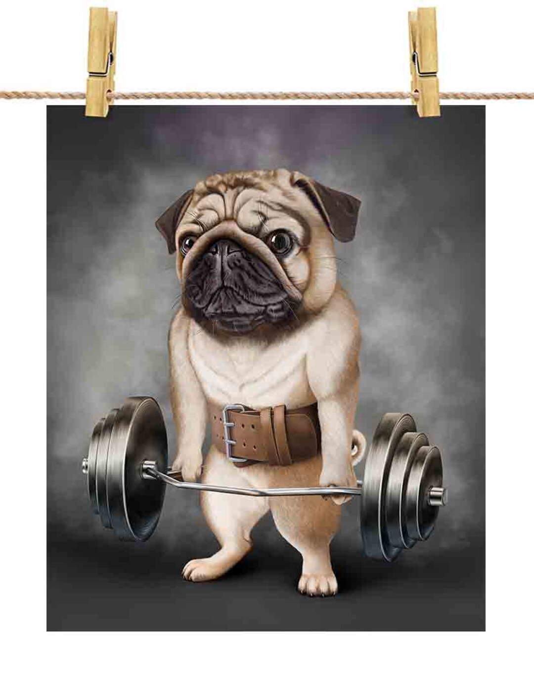 Pug Dog Lift Barbell Shrug Bar Exercise Fitness Gym Workout - Poster ...