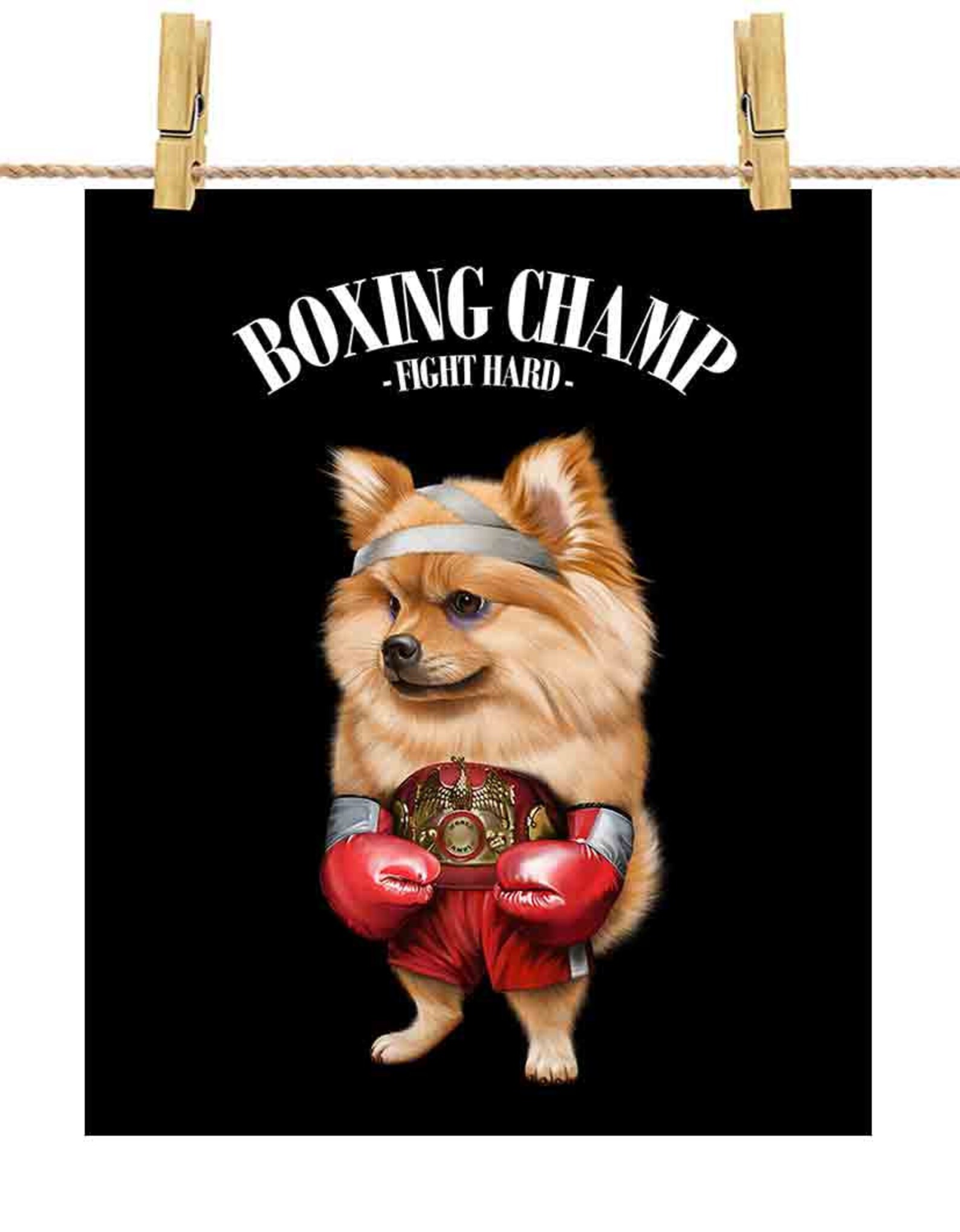 Boxing Champion Orange Pomeranian Dog Fighter - Poster Print, Wall Art ...