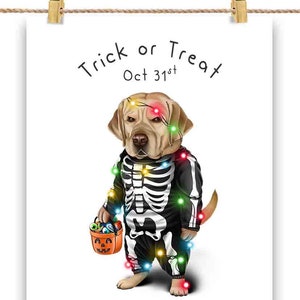 Golden Retriever Dog in Skeleton Costume: Halloween Party Dress-up ...