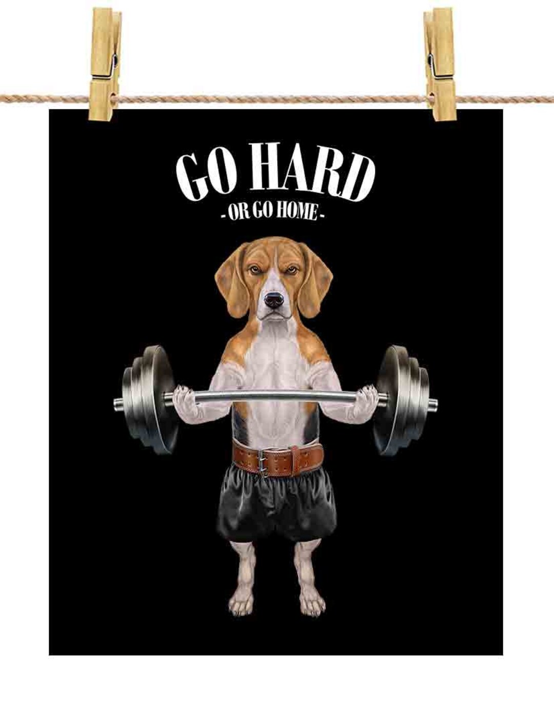 Beagle Dog Weightlifting in Fitness Gym Exercise Workout Inspirational ...