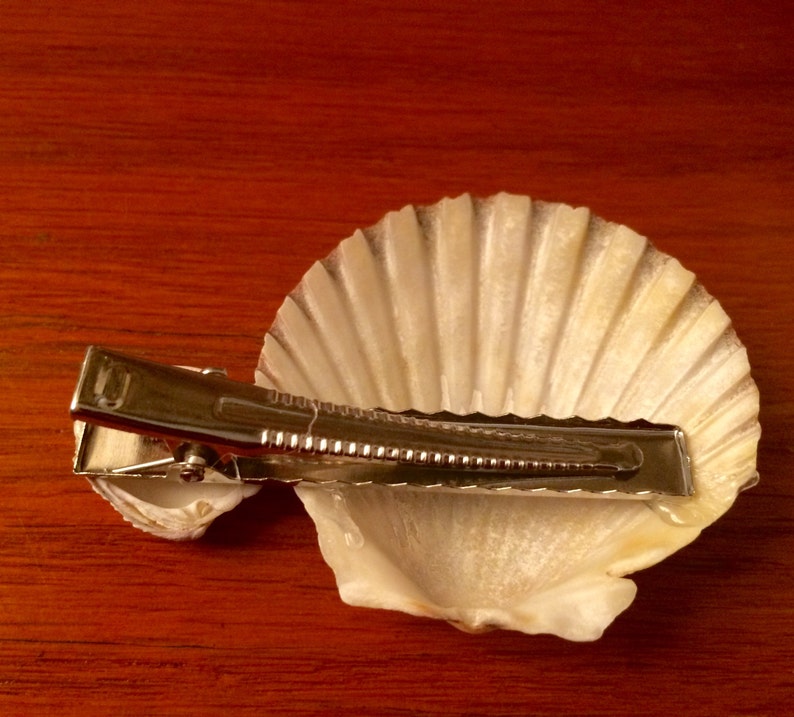 Scallop Clam Shell Hair Clip Barrettes Set of 2 Three Inch | Etsy
