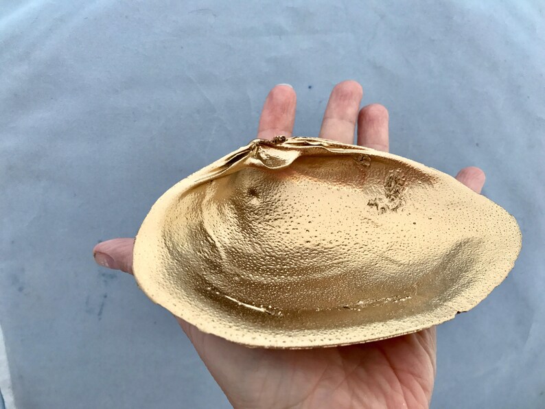 Gold Painted Extra Large Clam Shell 4-7 for Soap Dish | Etsy