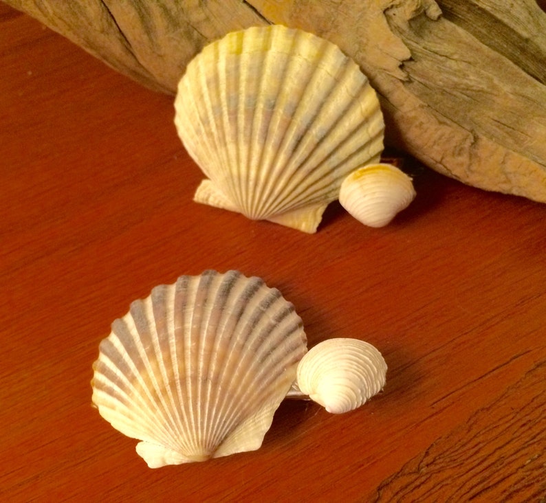 Scallop Clam Shell Hair Clip Barrettes Set of 2 Three Inch | Etsy