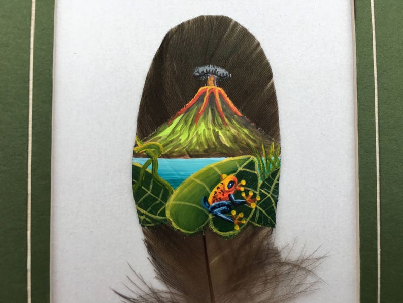 Blue Jeans Frog, Erupting Volcano, Painted Feather, Strawberry Poison ...