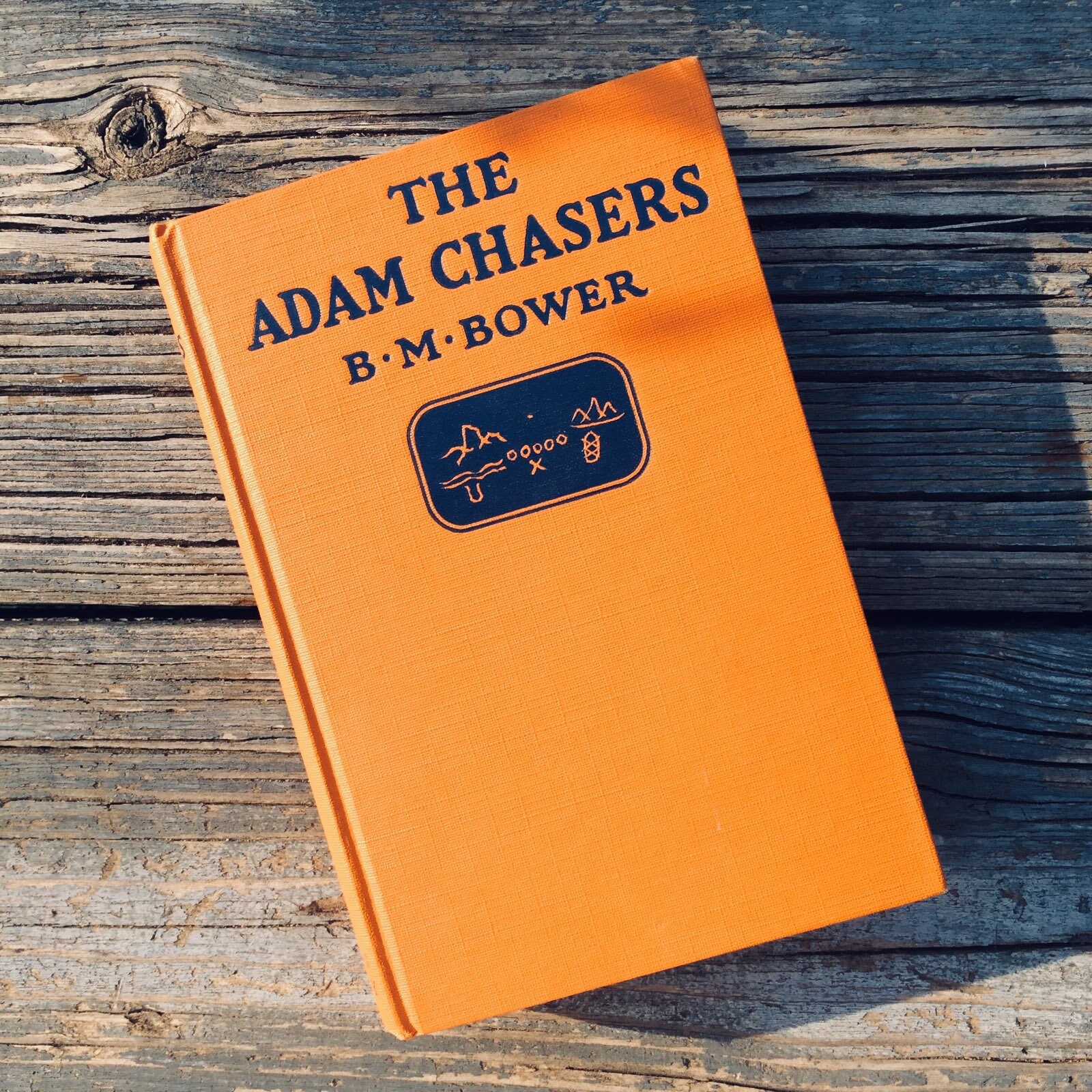 The Adam Chasers by B. M. Bower 1927 Vintage Western Book - Etsy