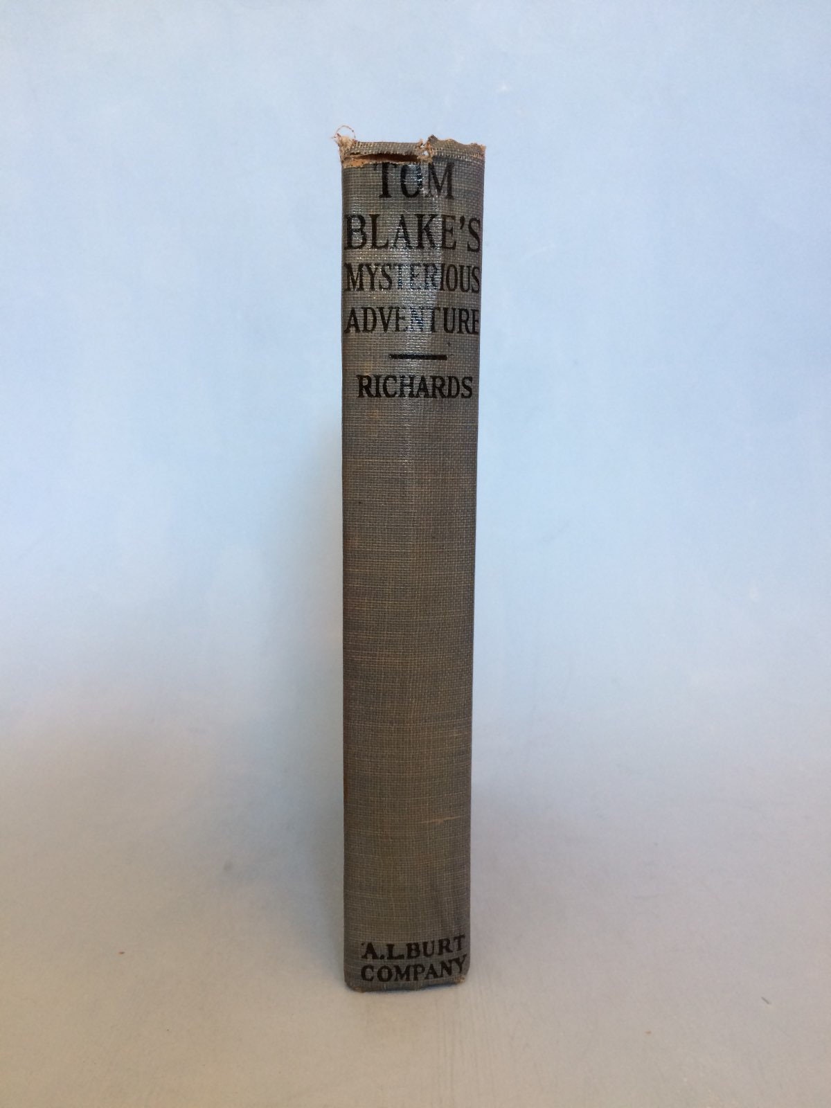 Tom Blake's Mysterious Adventure by Milton Richards - Etsy