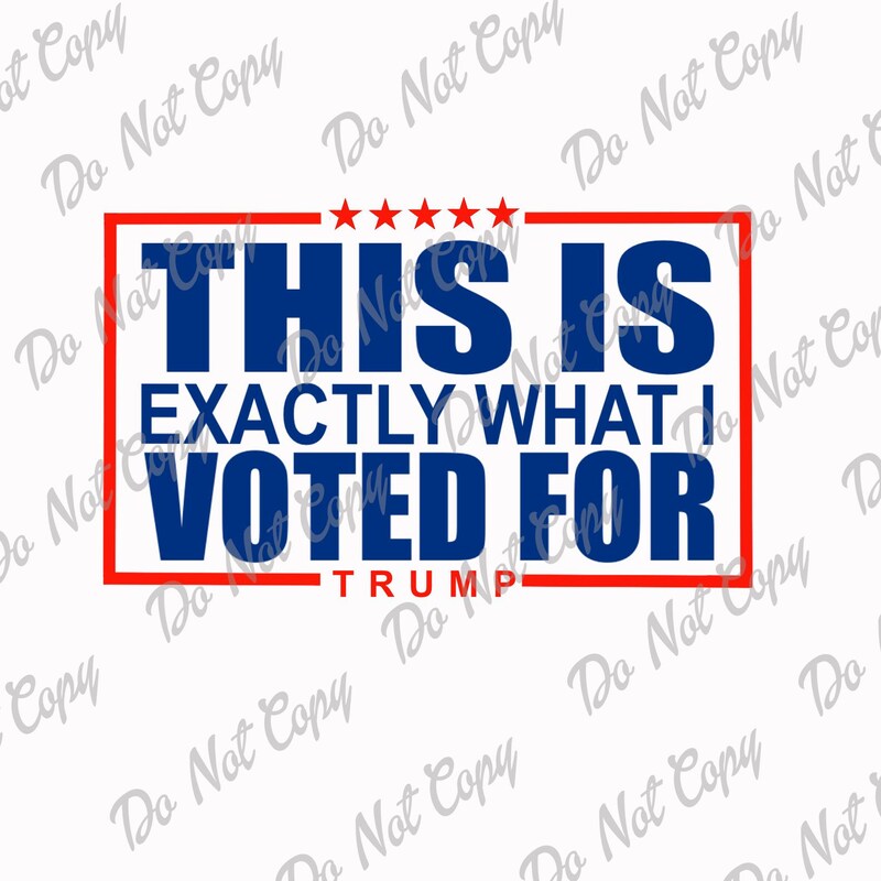 I Voted Stickers - Etsy