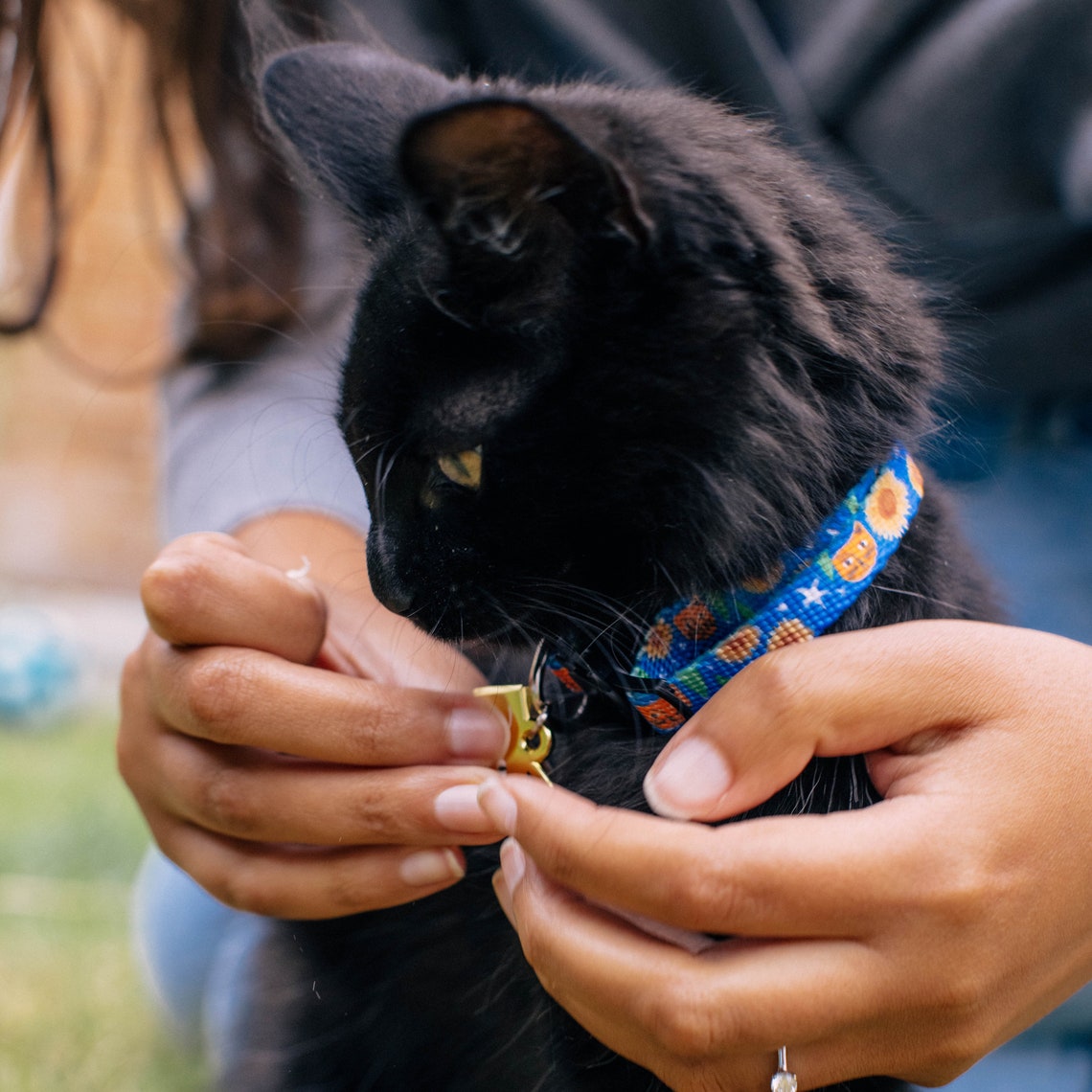 Vincat Van Gogh Artist Cat Collar - Etsy