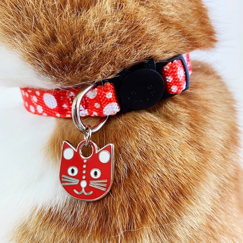 Unique Design Cat Collar - Etsy UK