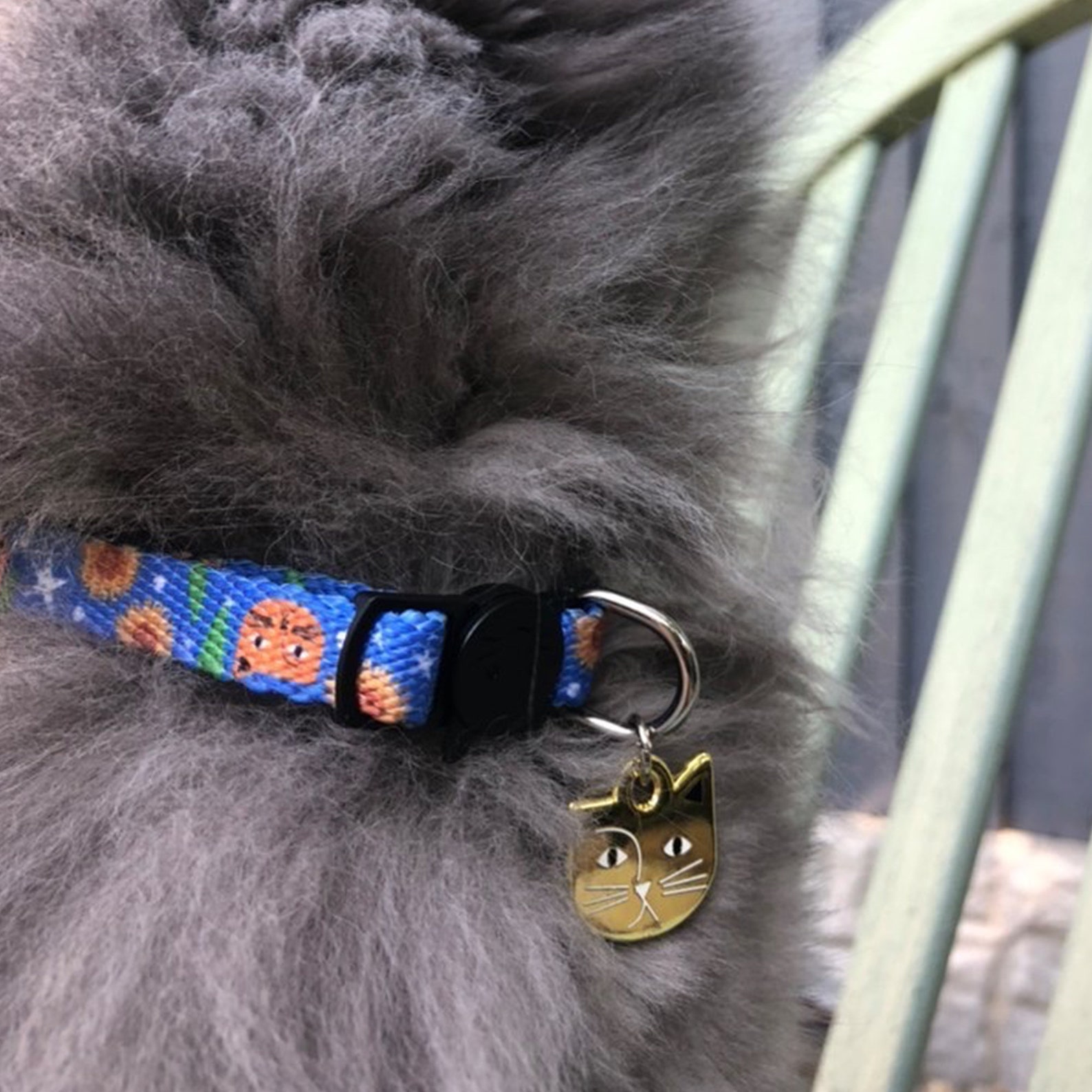 Vincat Van Gogh Artist Cat Collar - Etsy