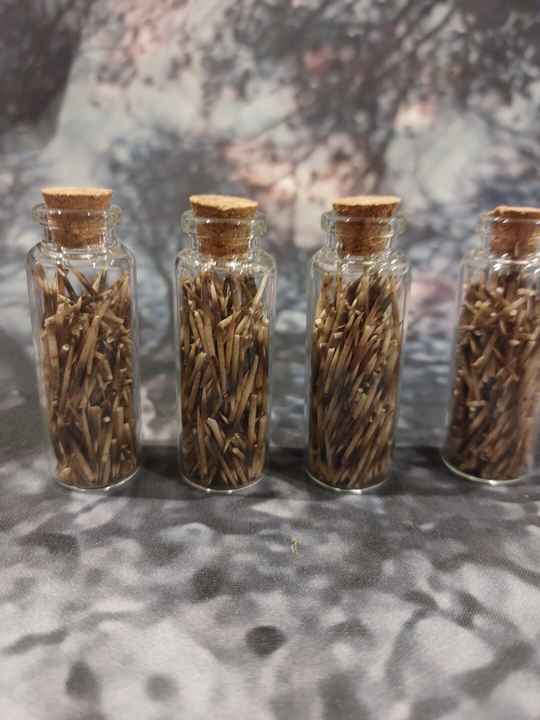 Hedgehog Quills/spikes in a Glass Bottle. - Etsy