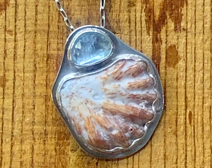 Womens Sea Shell Necklace Kitten Paw Shell With Aquamarine Sterling ...