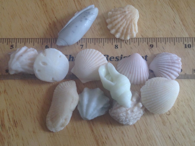100 MINI Sea Shell Soaps | Etsy