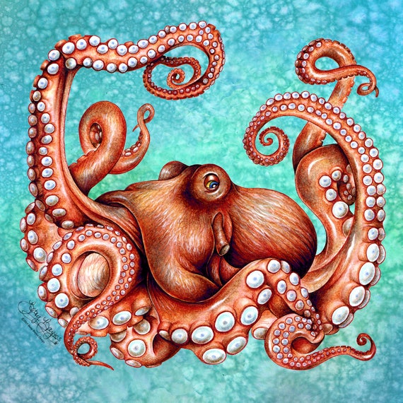 Realistic Octopus Painting