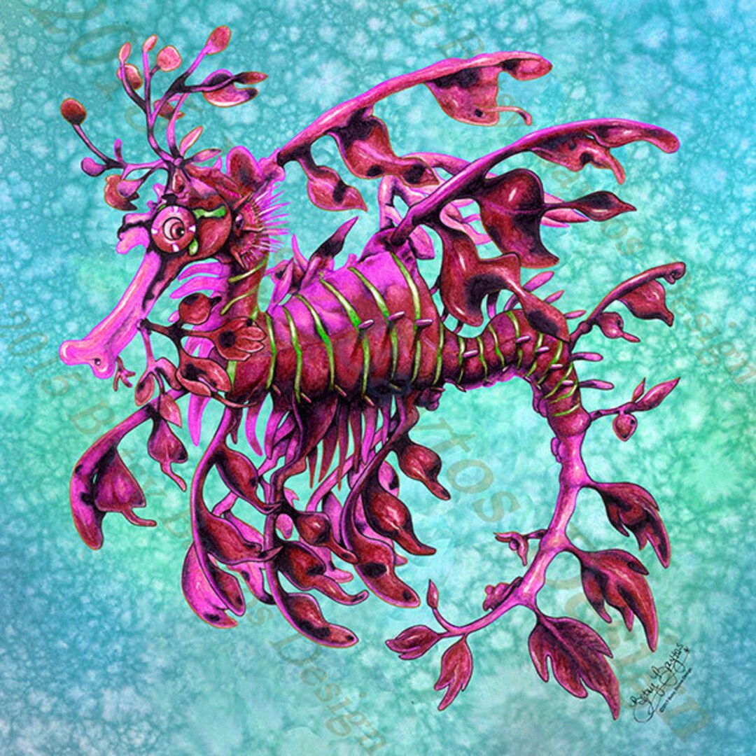 Sea Dragon Canvas Print - Etsy