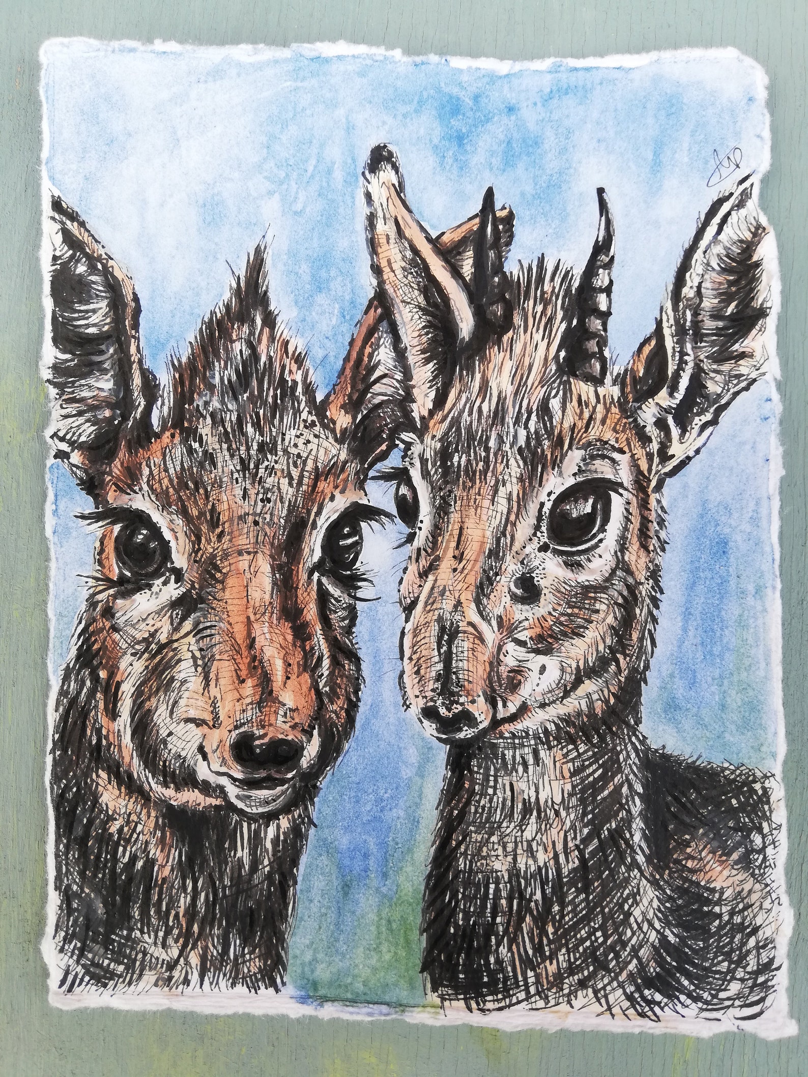 Original Art Beautiful Hand Illustrated Pair of Dik Diks - Etsy