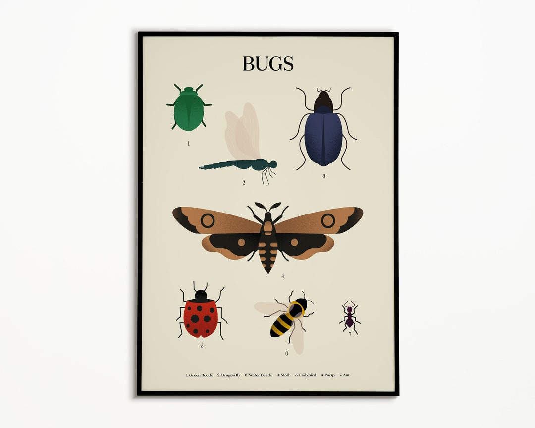 Educational Bugs Poster, Insects Print, Printable Wall Art, Nature ...