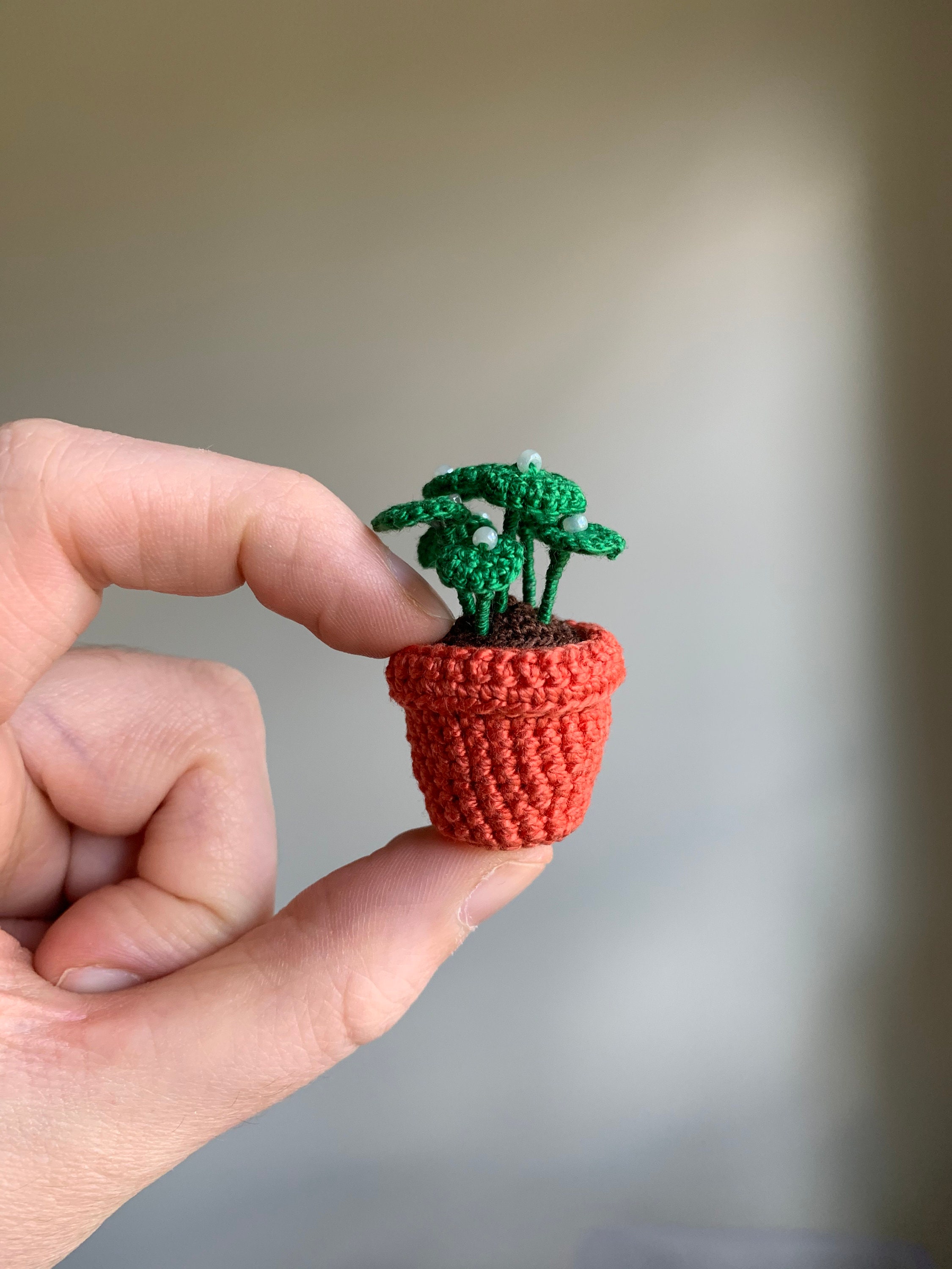 Mini Crochet Pilea Peperomioides - Etsy