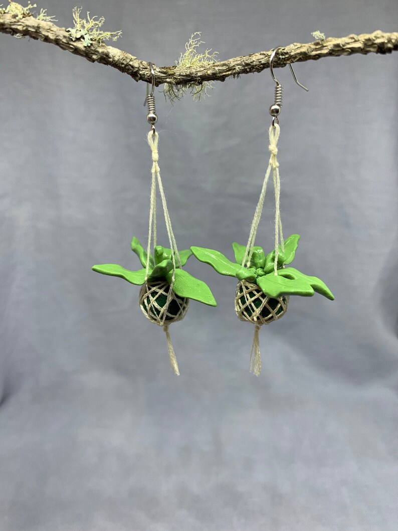 Mini Macrame Kokedama Birds Nest Fern Earrings - Etsy
