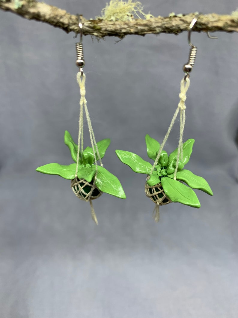 Mini Macrame Kokedama Birds Nest Fern Earrings - Etsy
