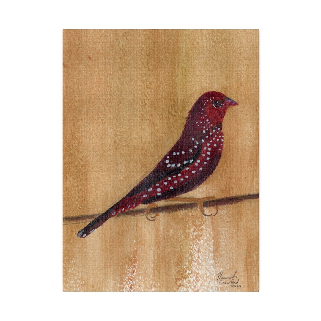 Red Avadavat Finch Print, Finch Art, Red Finch Art, Bird Art, Bird ...
