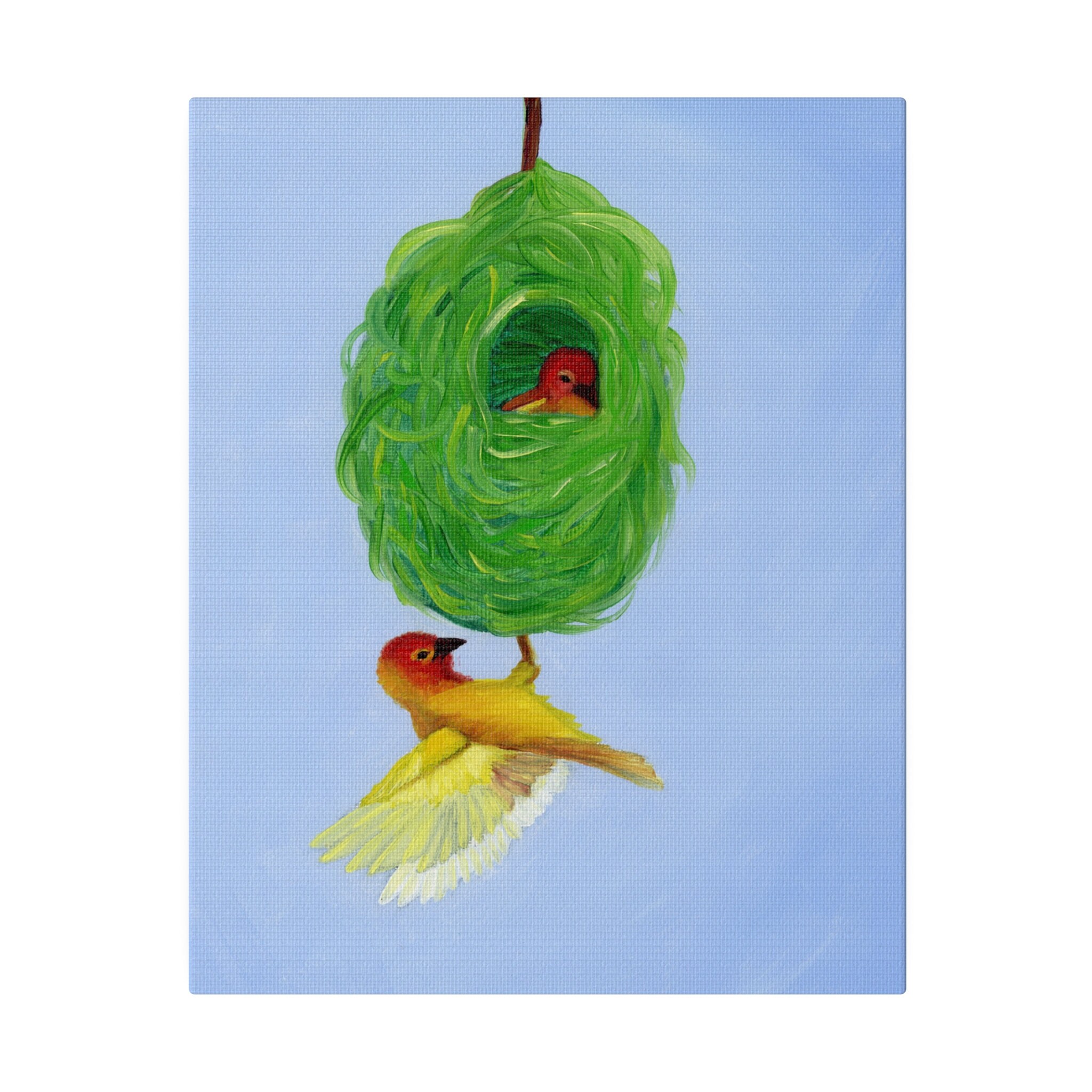 African Golden Weaver Birds, Bird Art, Weaver Bird Art, Cute Birds ...