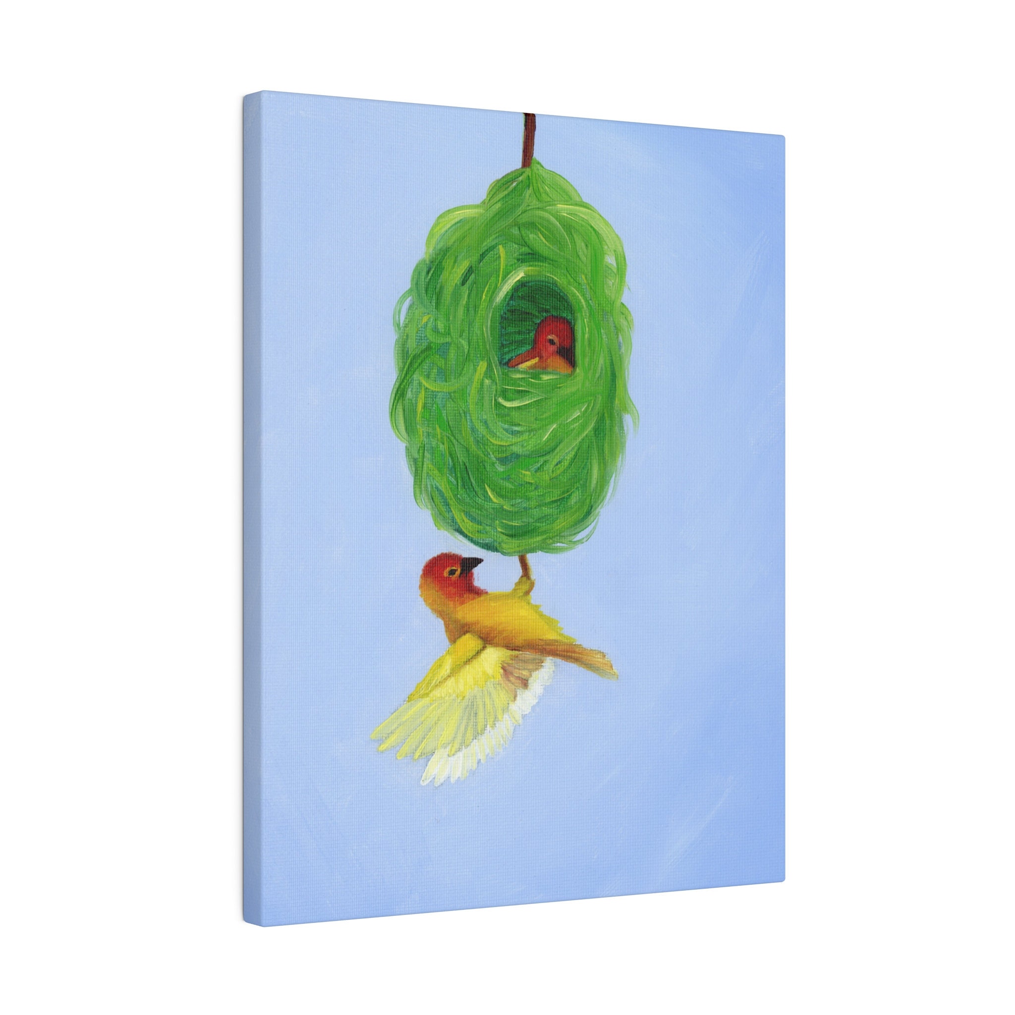 African Golden Weaver Birds, Bird Art, Weaver Bird Art, Cute Birds ...
