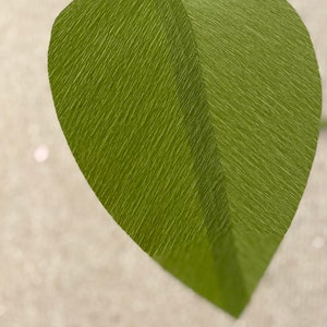 Free Standing Flowers Stem Set Giant Flower Stands Giant Flower Stems ...