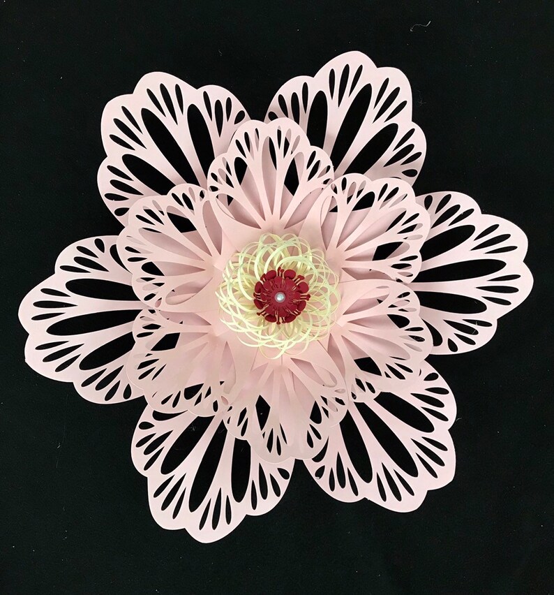 Plantilla de flor de papel digital SVG PNG DXF 3d flores de | Etsy