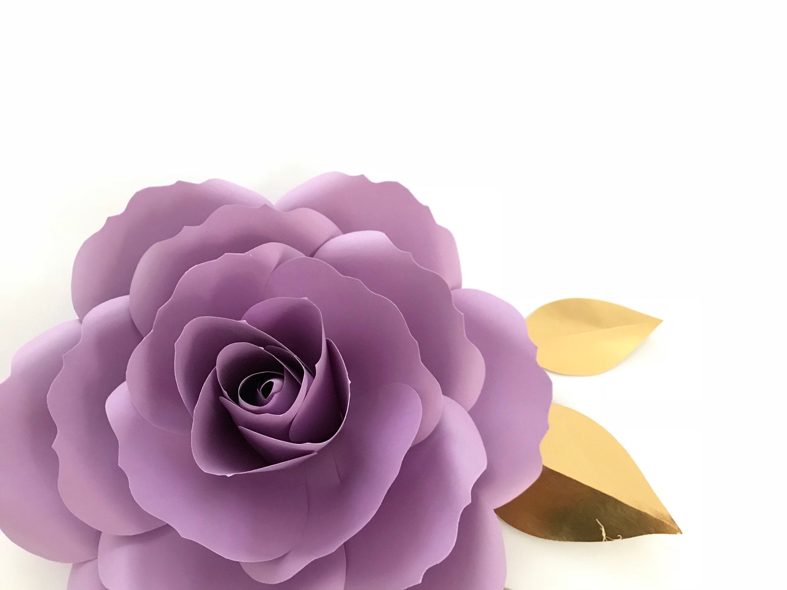 Large Paper Rose Template SVG PDF DXF Png Giant Paper Rose Svg - Etsy