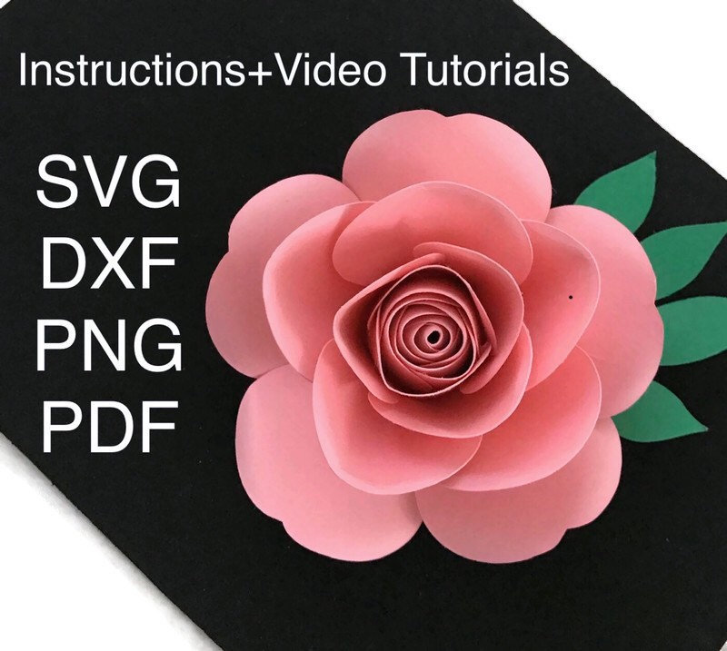 Small Rose Paper Flower Template SVG DXF PNG Pdf 3D Rose Svg - Etsy UK