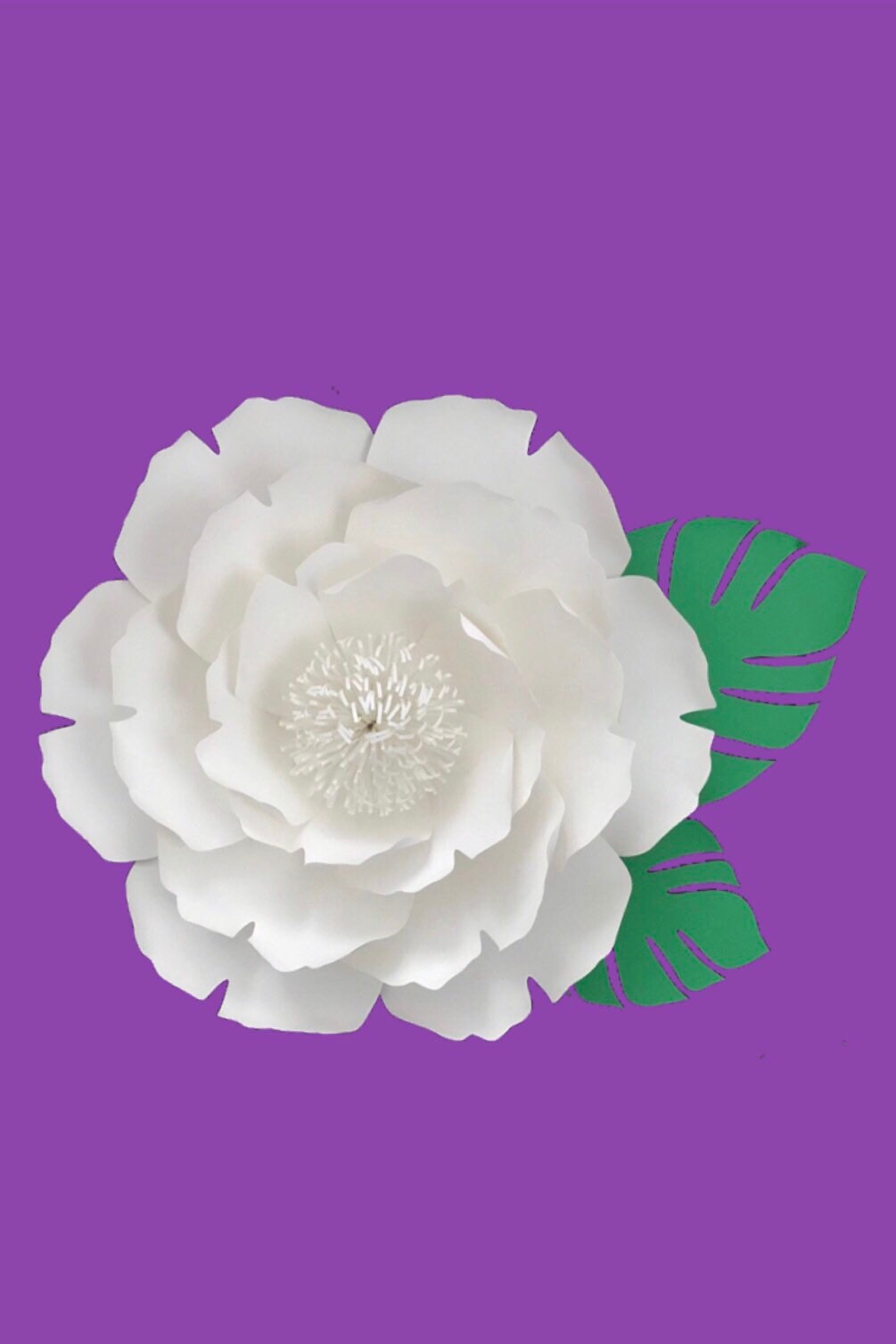 Digital Paper Flower Center SVG PNG DXF Giant Flower Center Svg Cricut ...