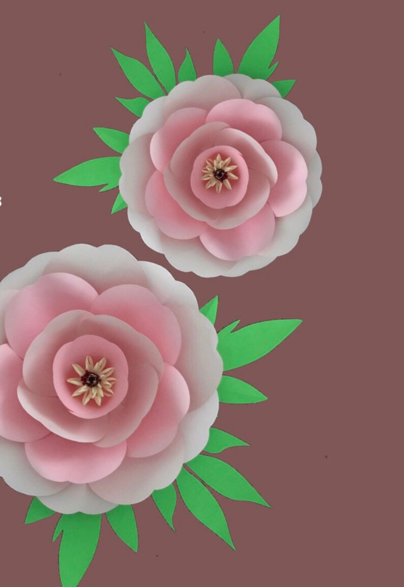 6 Hojas de flores de papel Plantillas SVG PDF DXF PNg Ramas | Etsy México 6 Hojas de flores de papel Plantillas SVG PDF DXF PNg Ramas | Etsy México