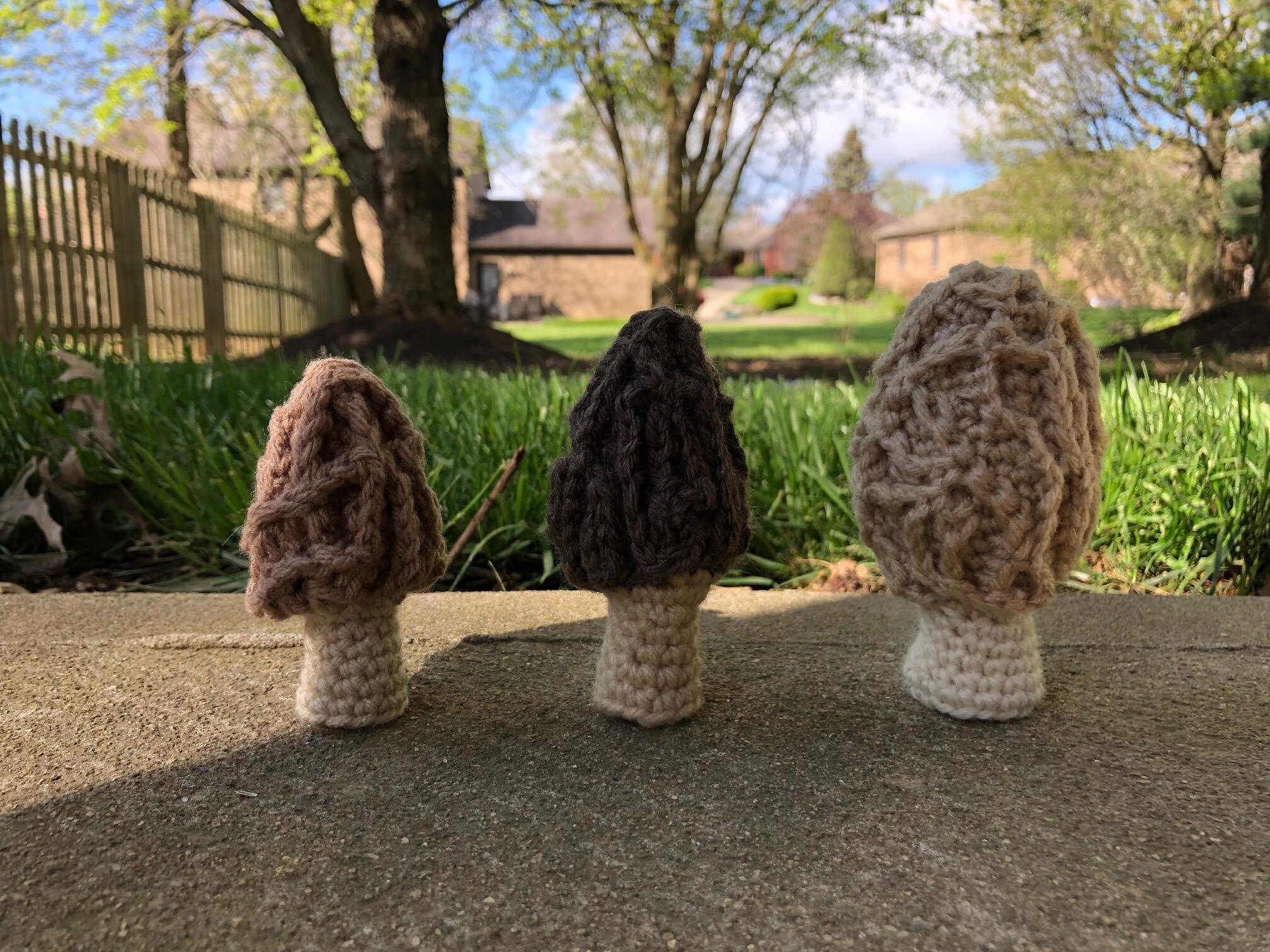 Morel Mushrooms Crochet Pattern PDF - Etsy