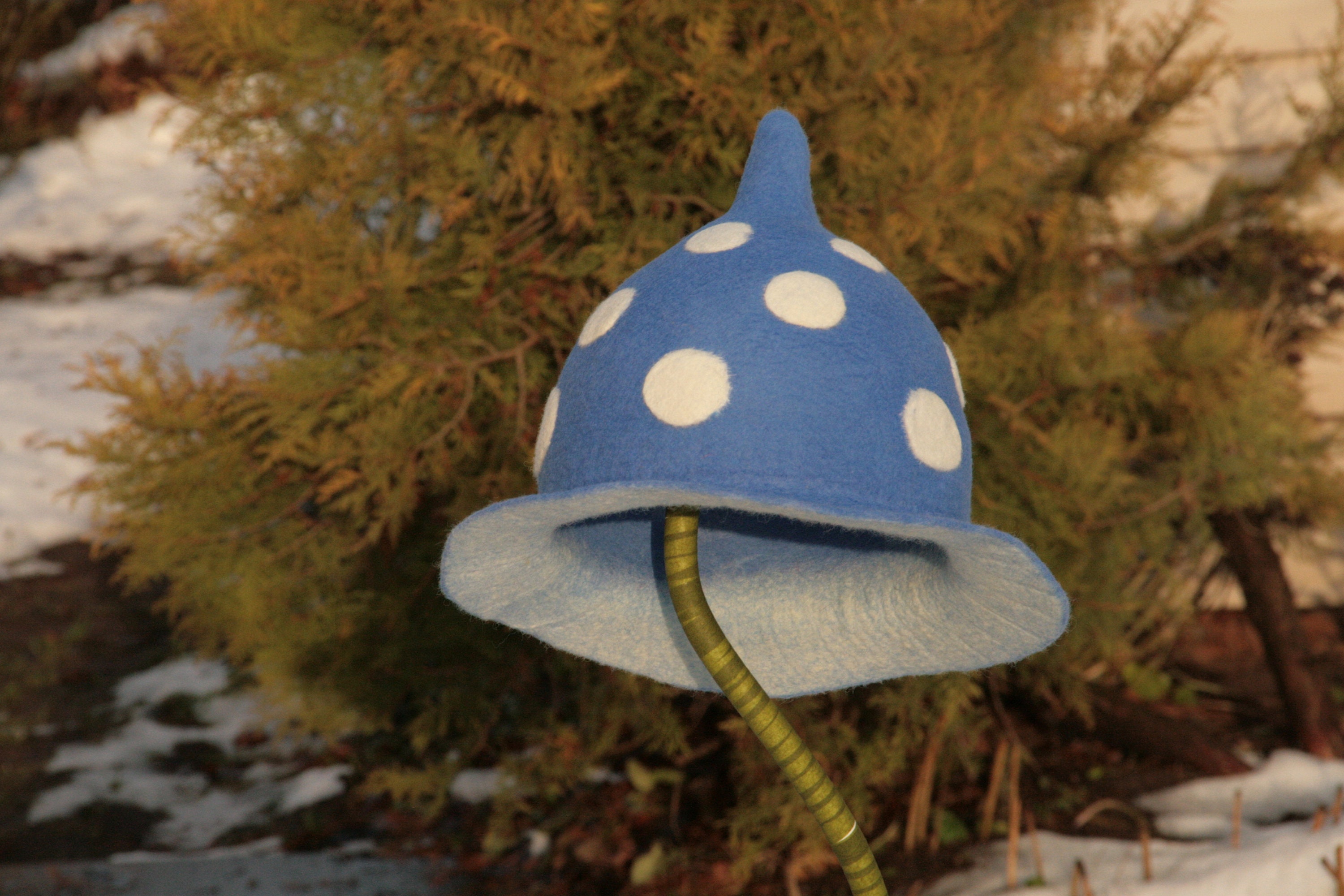 Felt Toadstool Mushroom Costume Hat Polka Dots Forest Elf Hat - Etsy UK