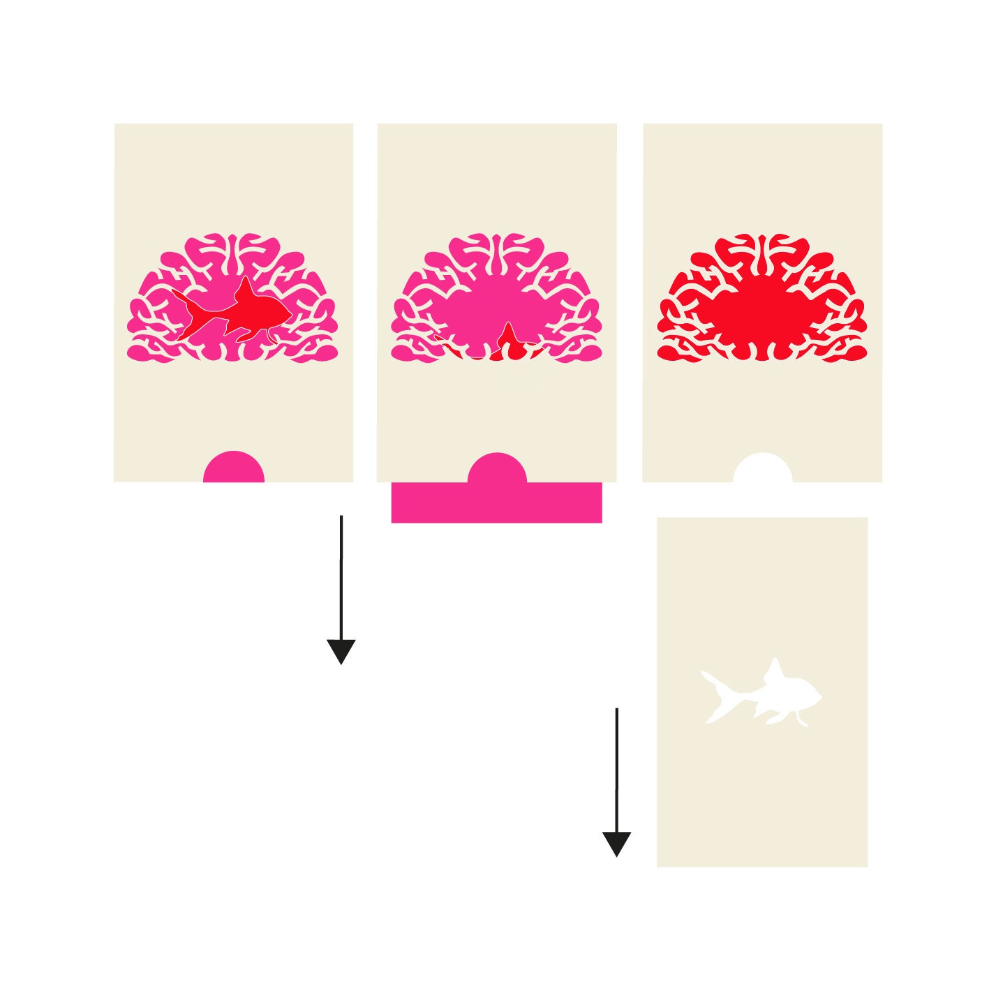 Original Fish Paper Card Memory Message Claire Colin - Etsy