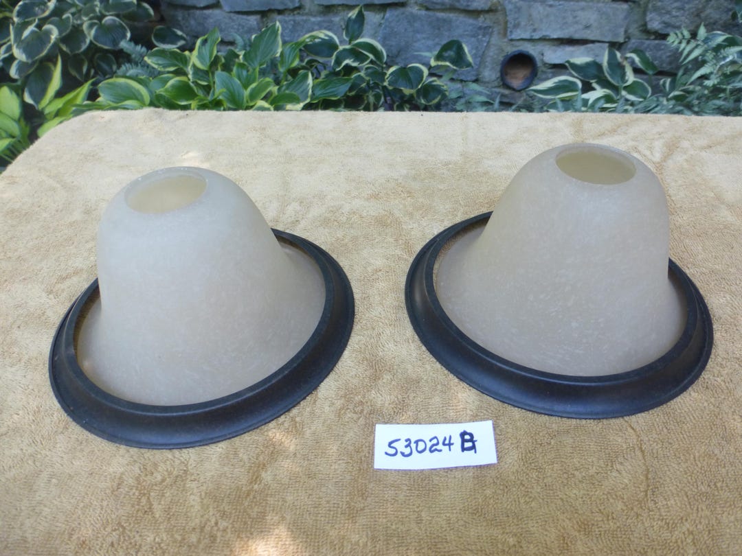 Two Glass Shades With Shade Rings 53024 B - Etsy